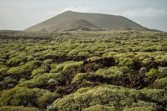 Roadtrip à Tenerife : balade dans la Laguna et randonnée à Guimar