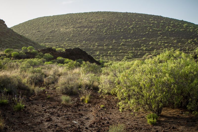 Roadtrip à Tenerife : balade dans la Laguna et randonnée à Guimar