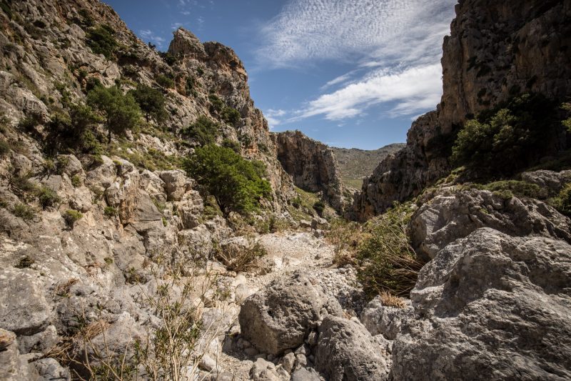 Moni Kapsa et Pefki : deux belles randonnées de gorges en Crète
