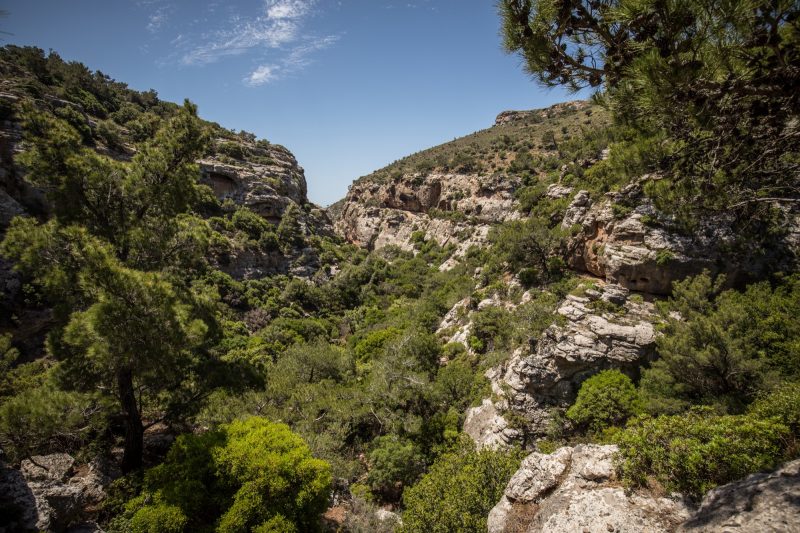 Moni Kapsa et Pefki : deux belles randonnées de gorges en Crète