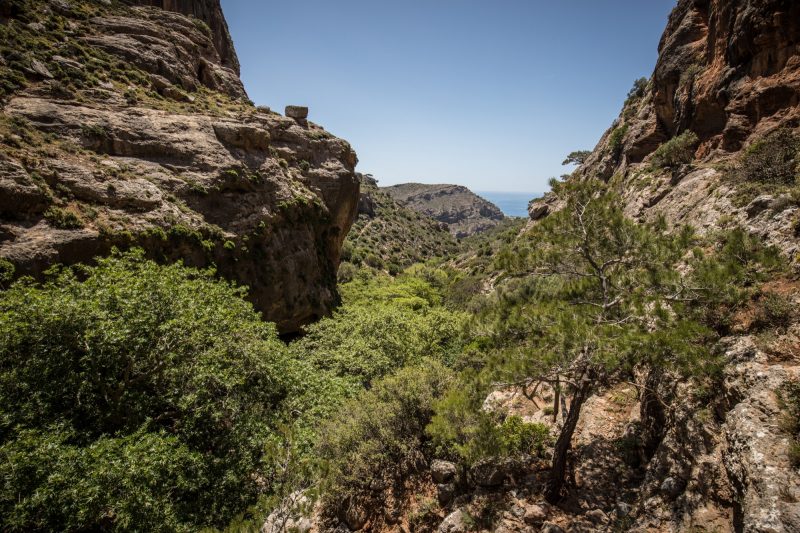 Moni Kapsa et Pefki : deux belles randonnées de gorges en Crète