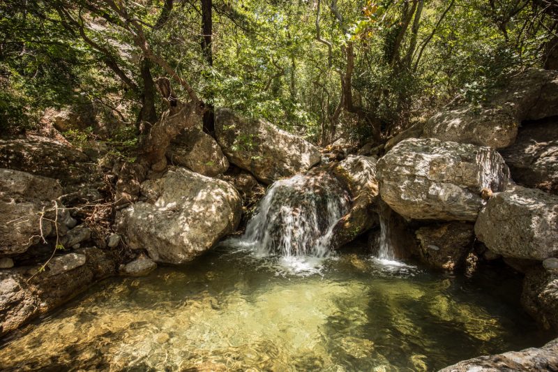 Moni Kapsa et Pefki : deux belles randonnées de gorges en Crète