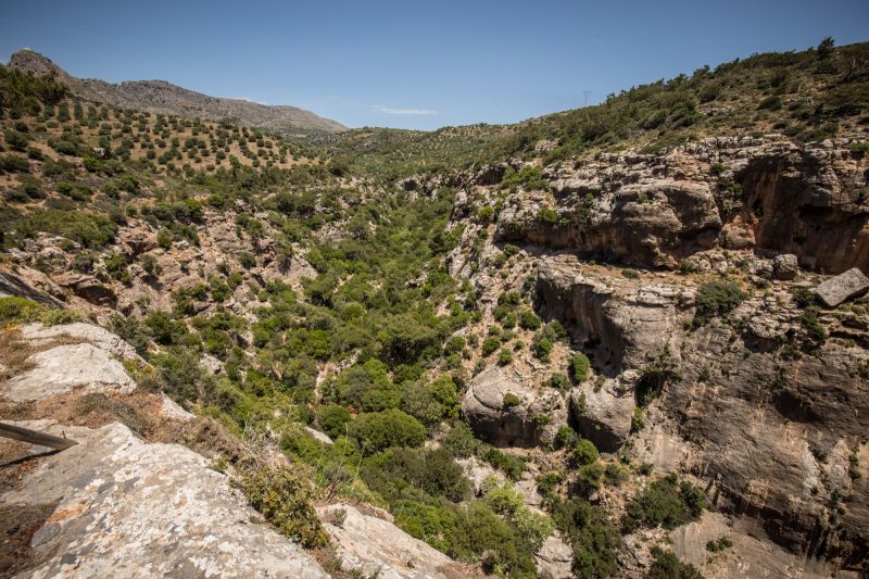 Moni Kapsa et Pefki : deux belles randonnées de gorges en Crète