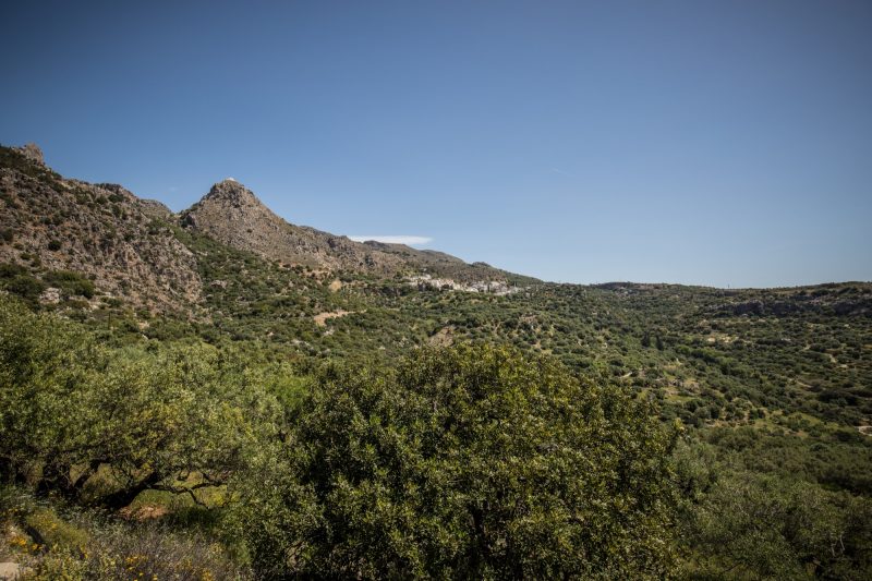 Moni Kapsa et Pefki : deux belles randonnées de gorges en Crète